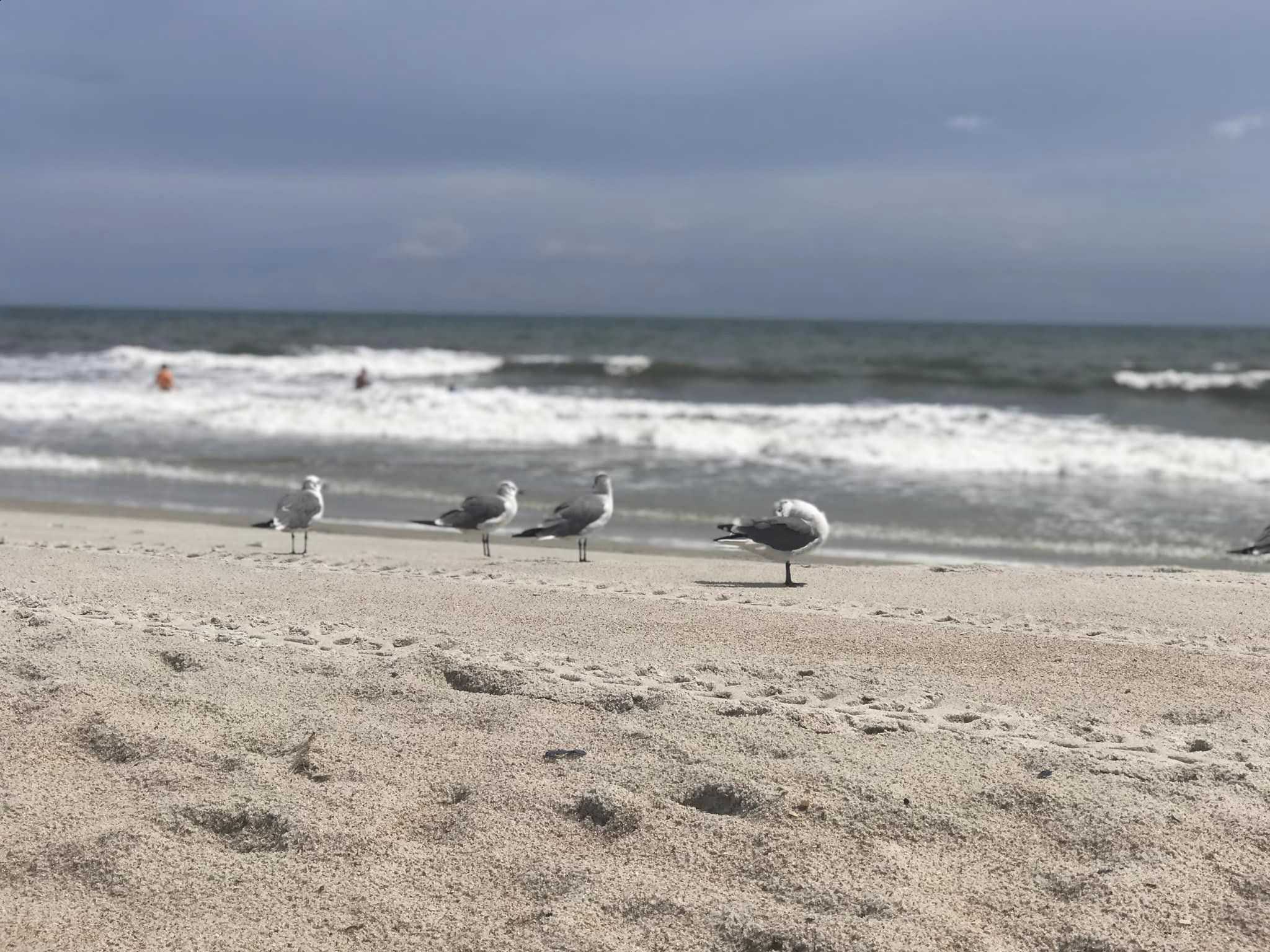 Is Amelia Island Worth Visiting in 2025?