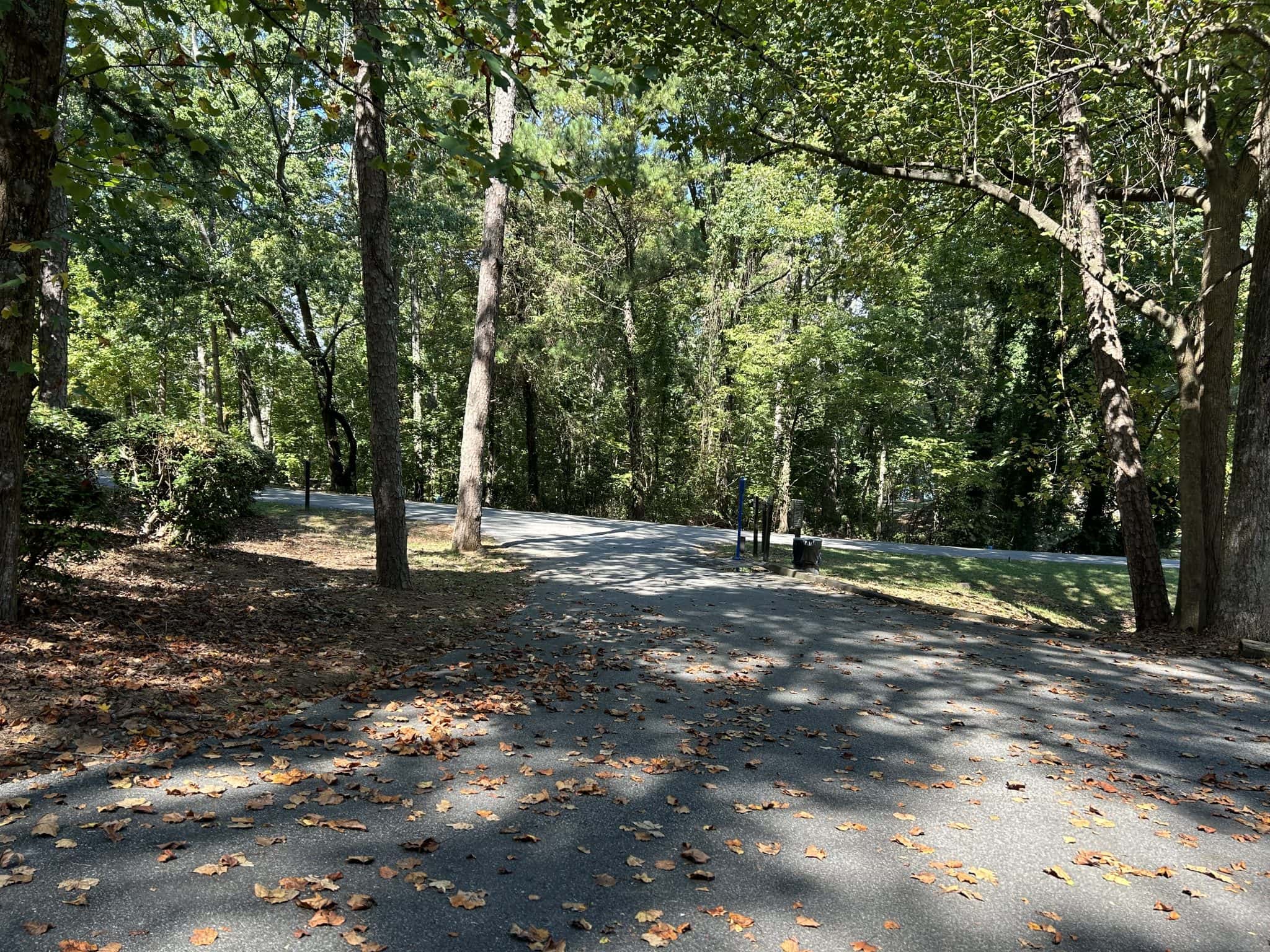 Sawnee Campground Review: What to Know Before You Book