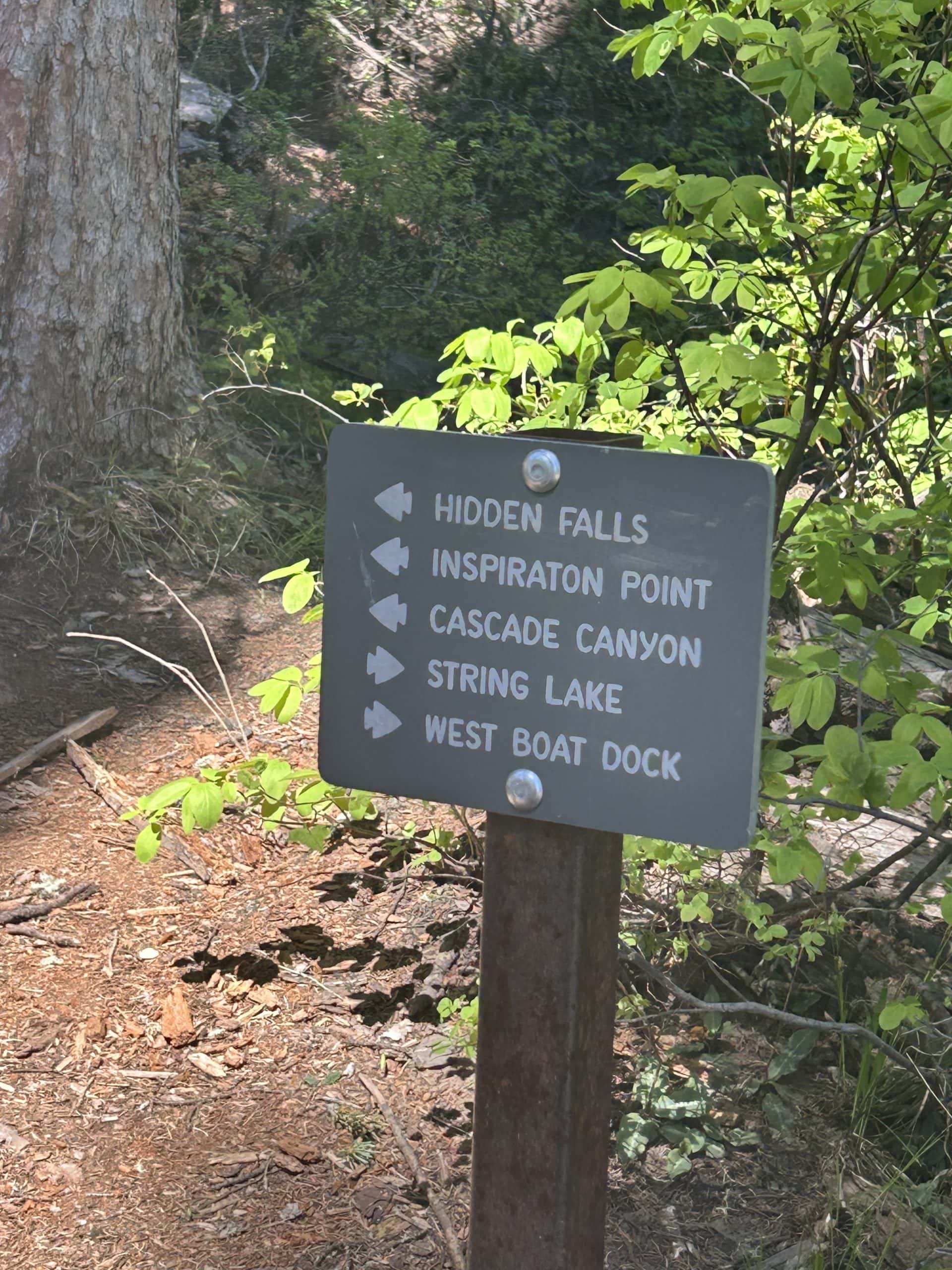 Your Guide to the Jenny Lake Hike to Hidden Falls