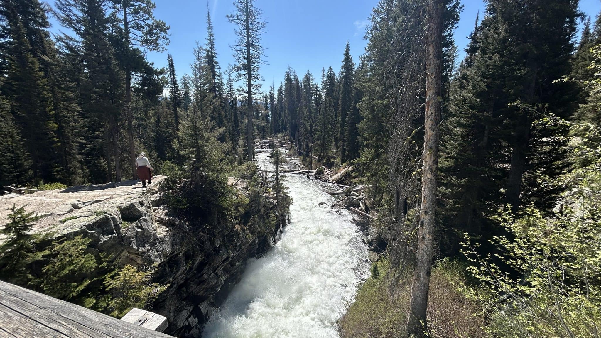 Your Guide to the Jenny Lake Hike to Hidden Falls