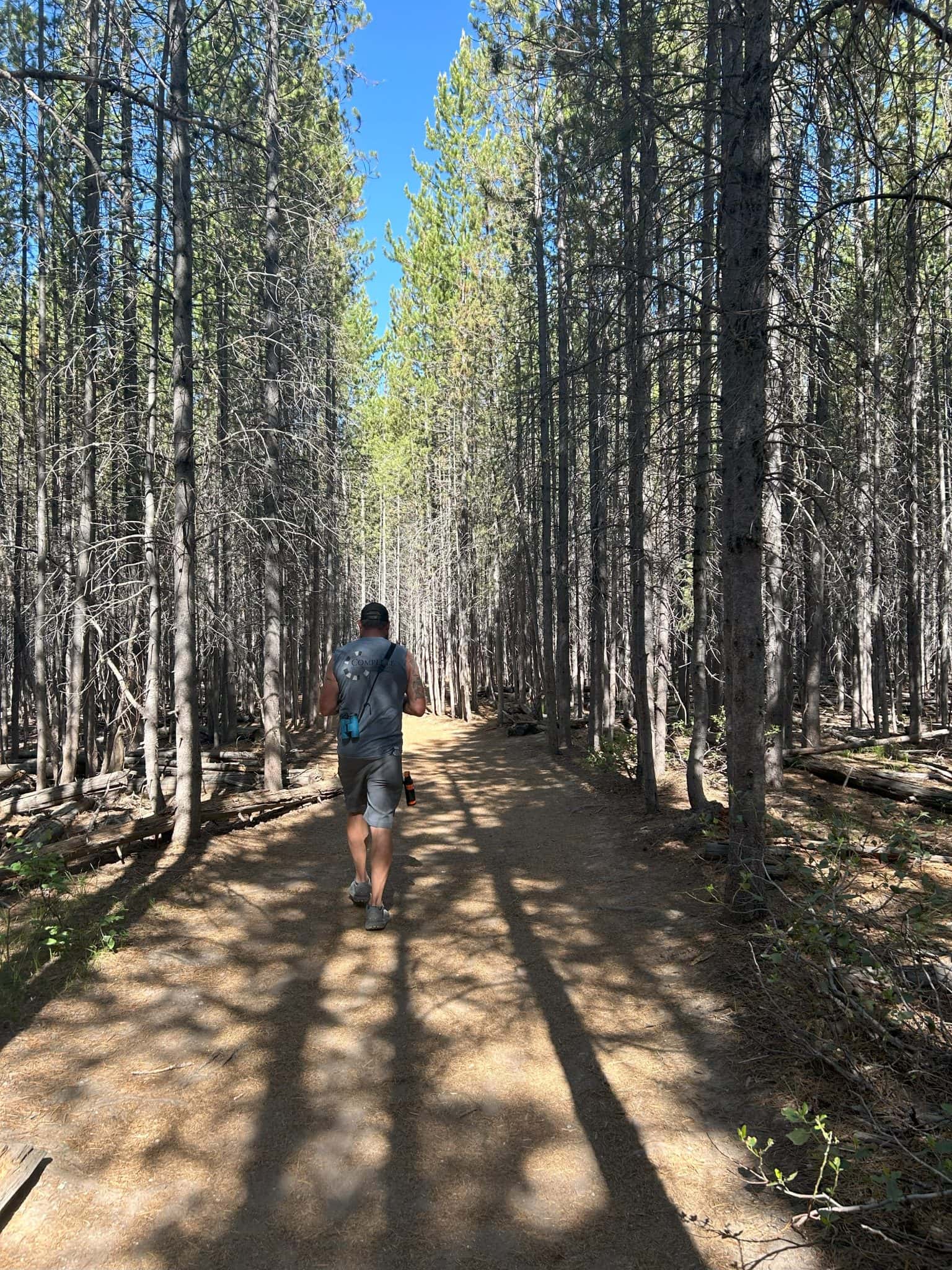 Bradley and Taggart Lake Trails: The Complete Loop Guide