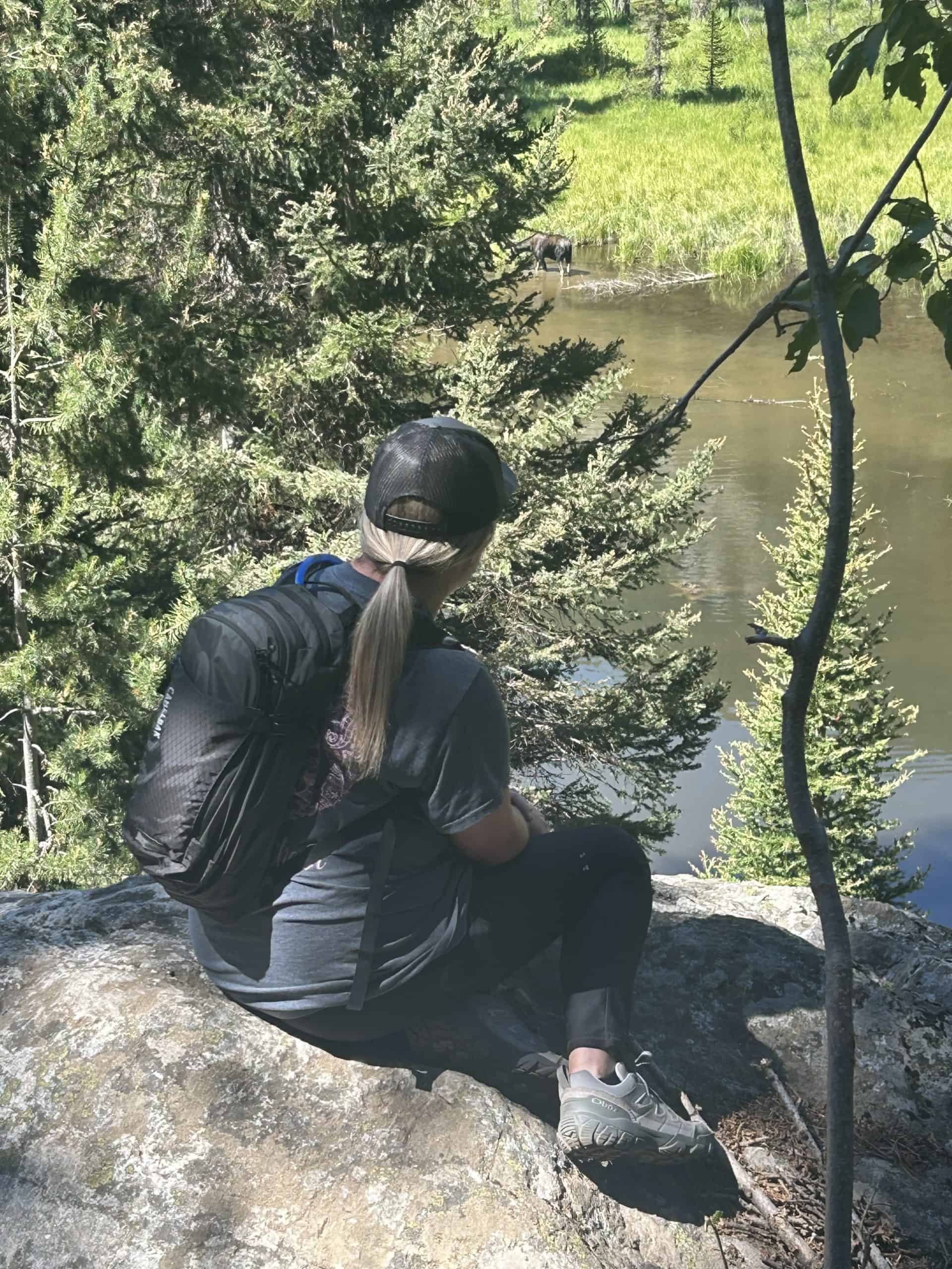 Moose Ponds Trail: Easy Hike to See Wildlife in Grand Teton