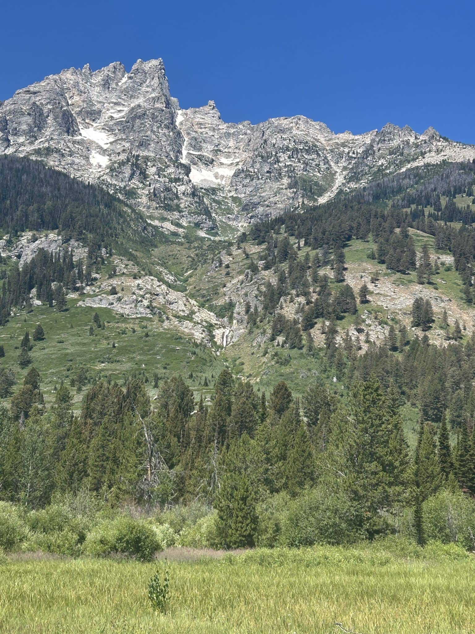 Moose Ponds Trail: Easy Hike to See Wildlife in Grand Teton